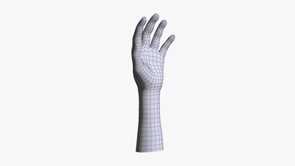 Human Hand Basemesh model - TurboSquid 1716534