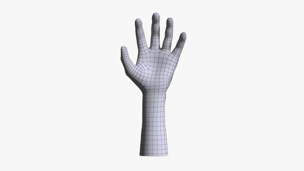 Human Hand Basemesh model - TurboSquid 1716534