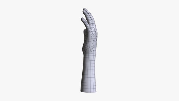 Human Hand Basemesh model - TurboSquid 1716534