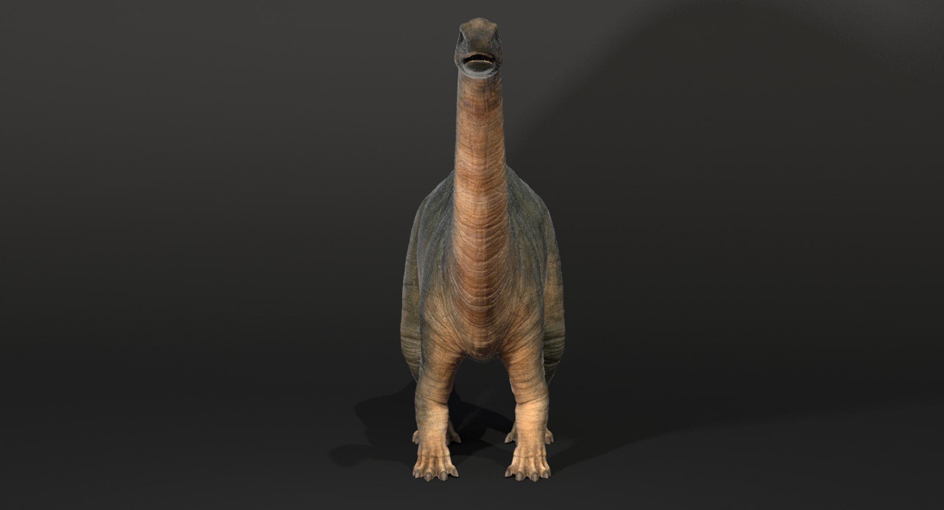 Realistic Brontosaurus Obj