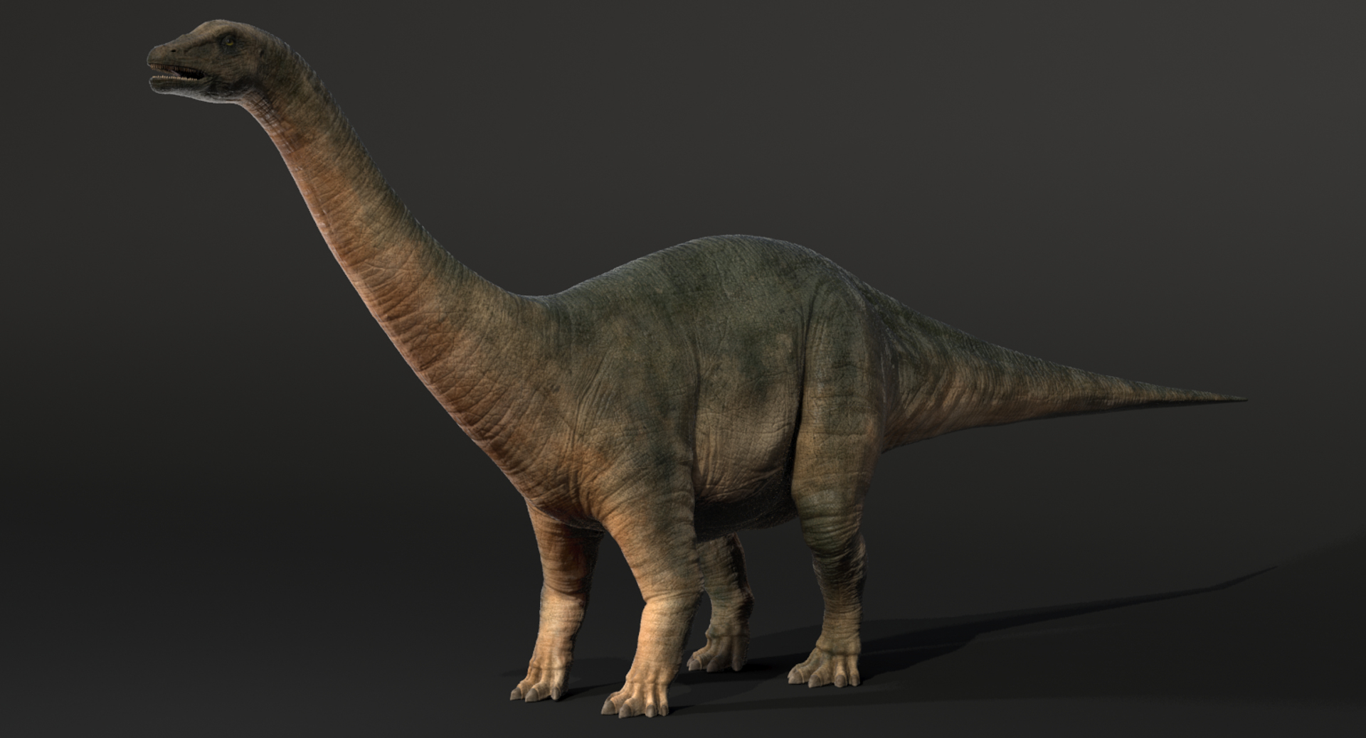 realistic brontosaurus obj
