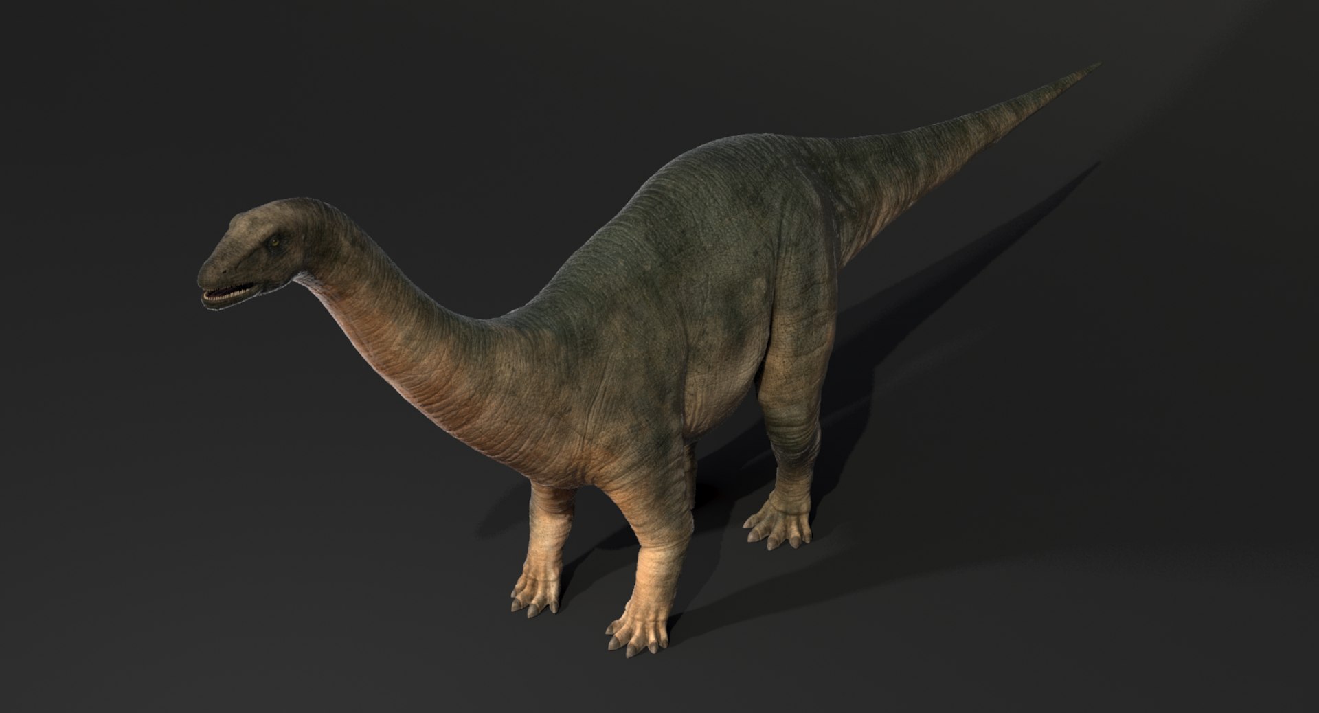 Realistic Brontosaurus Obj