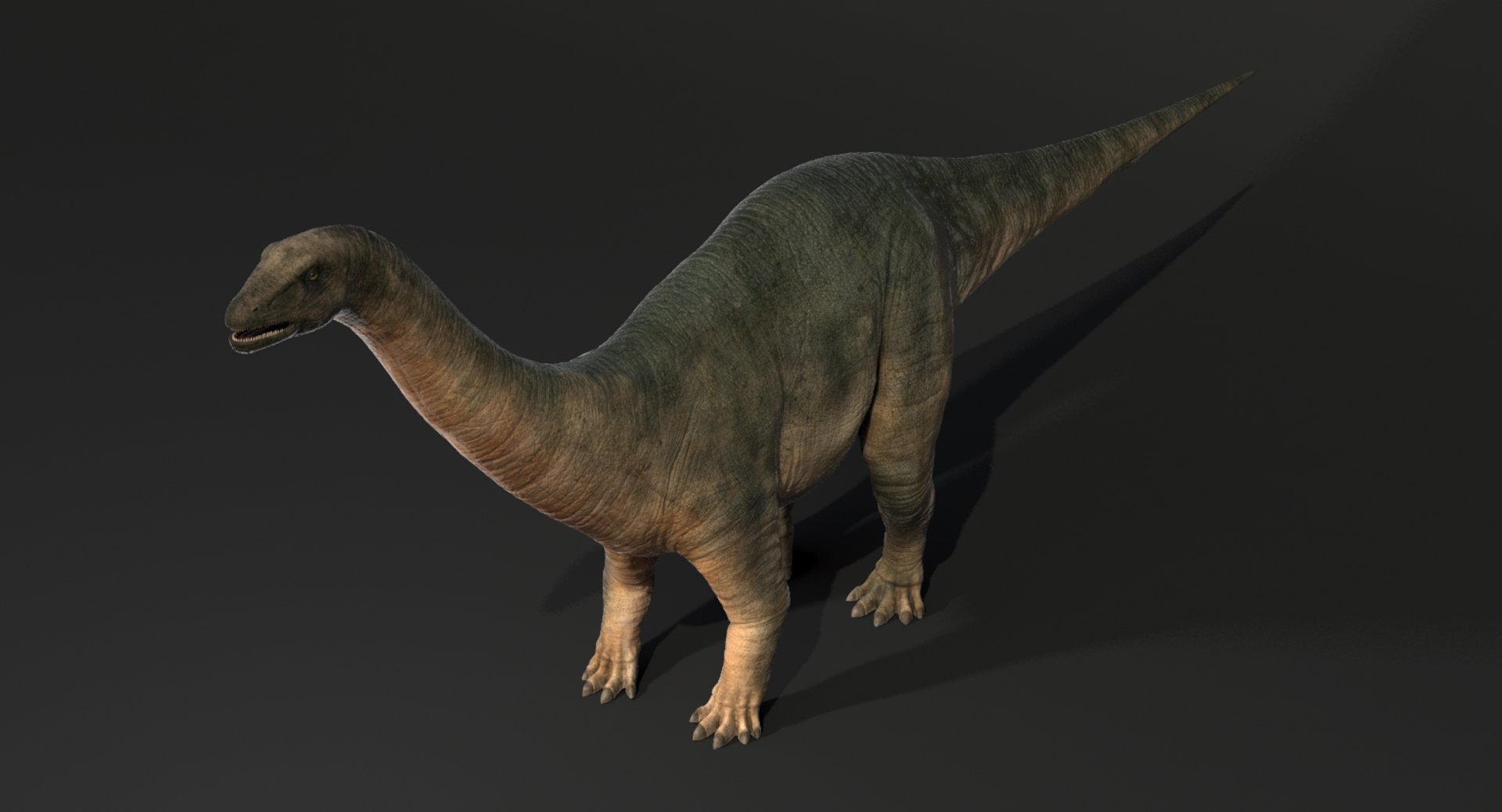 realistic brontosaurus obj