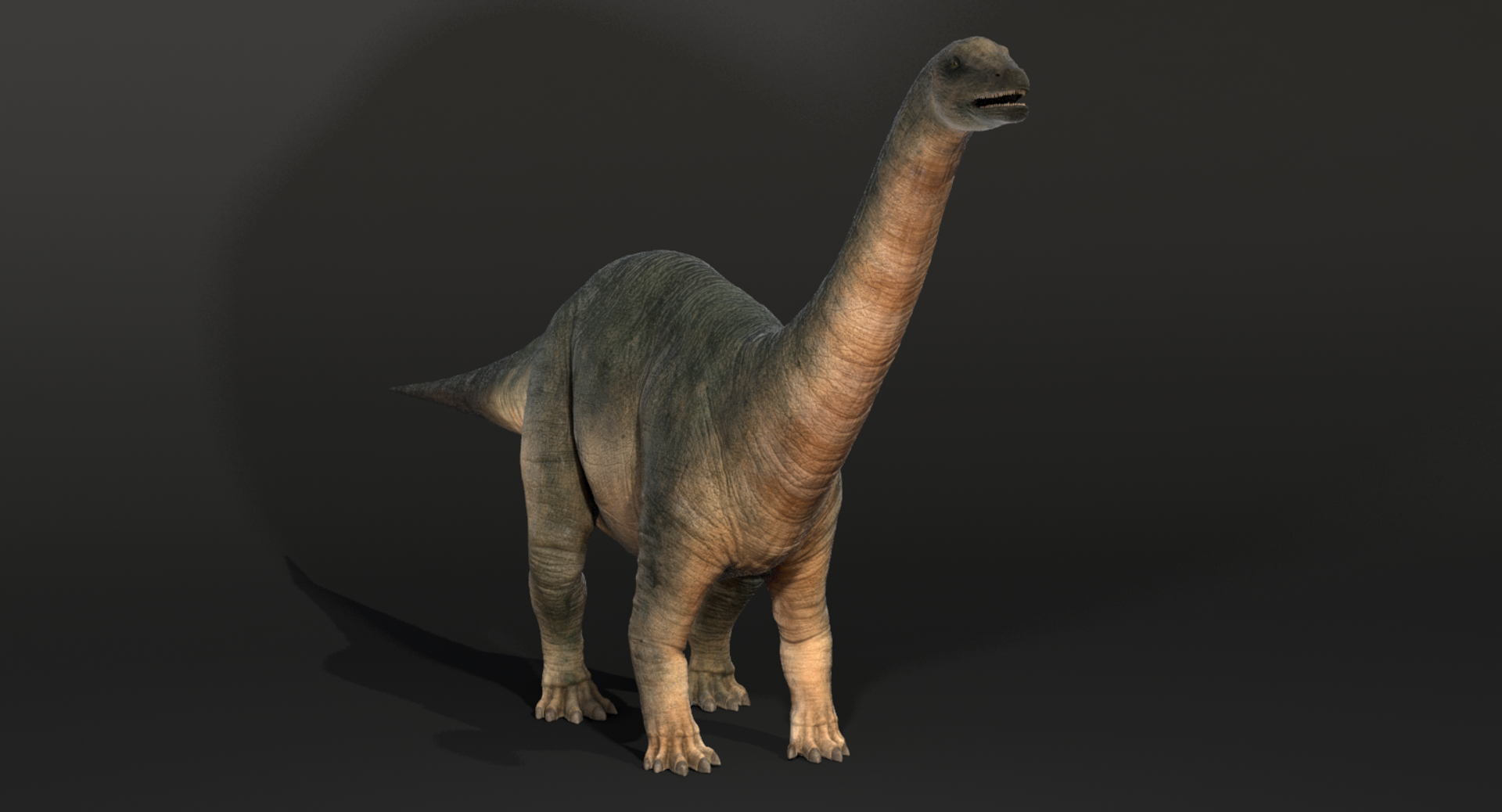 realistic brontosaurus obj