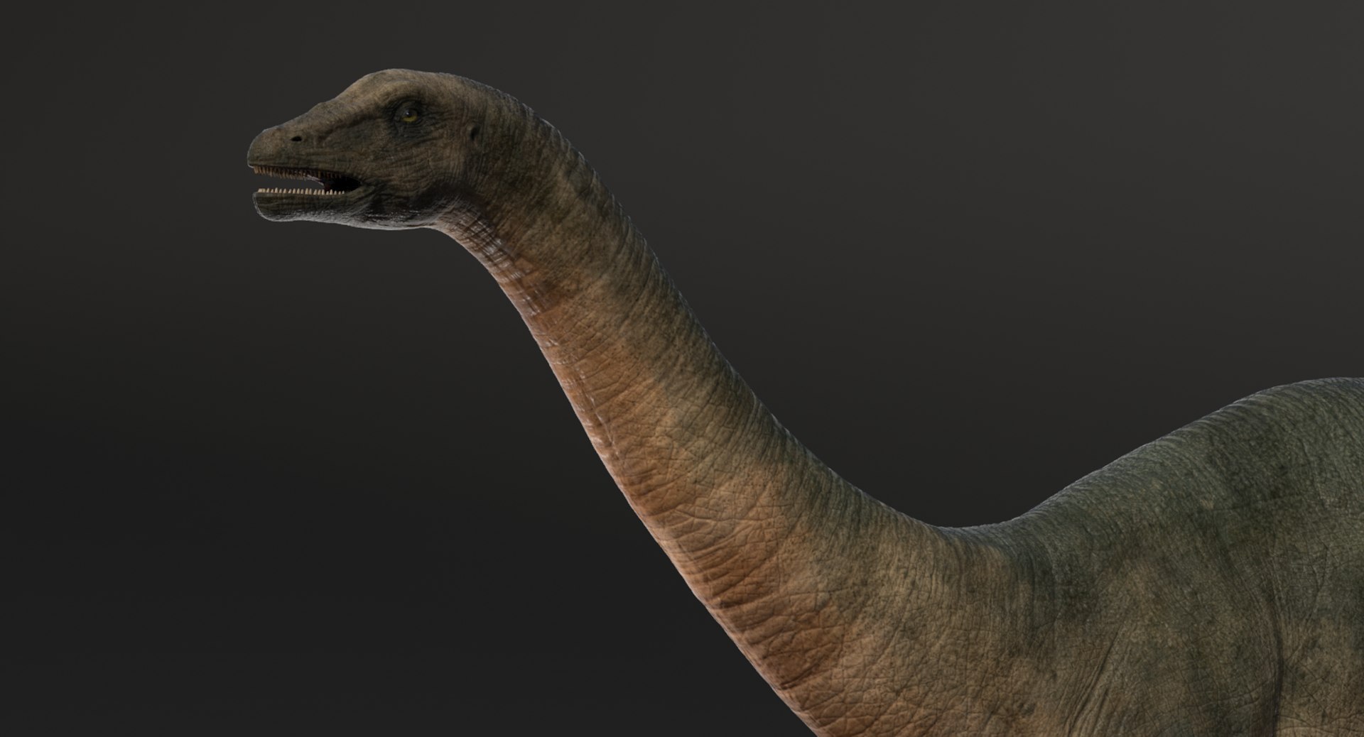 Realistic Brontosaurus Obj