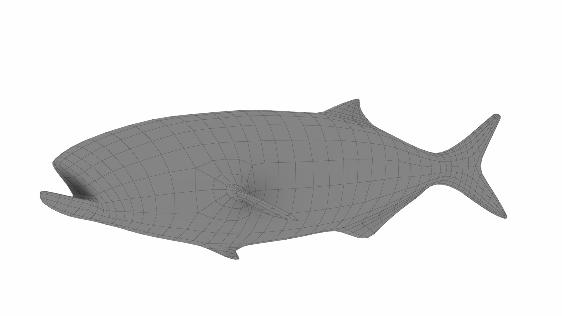 Bluefish 3D Model - TurboSquid 2381434