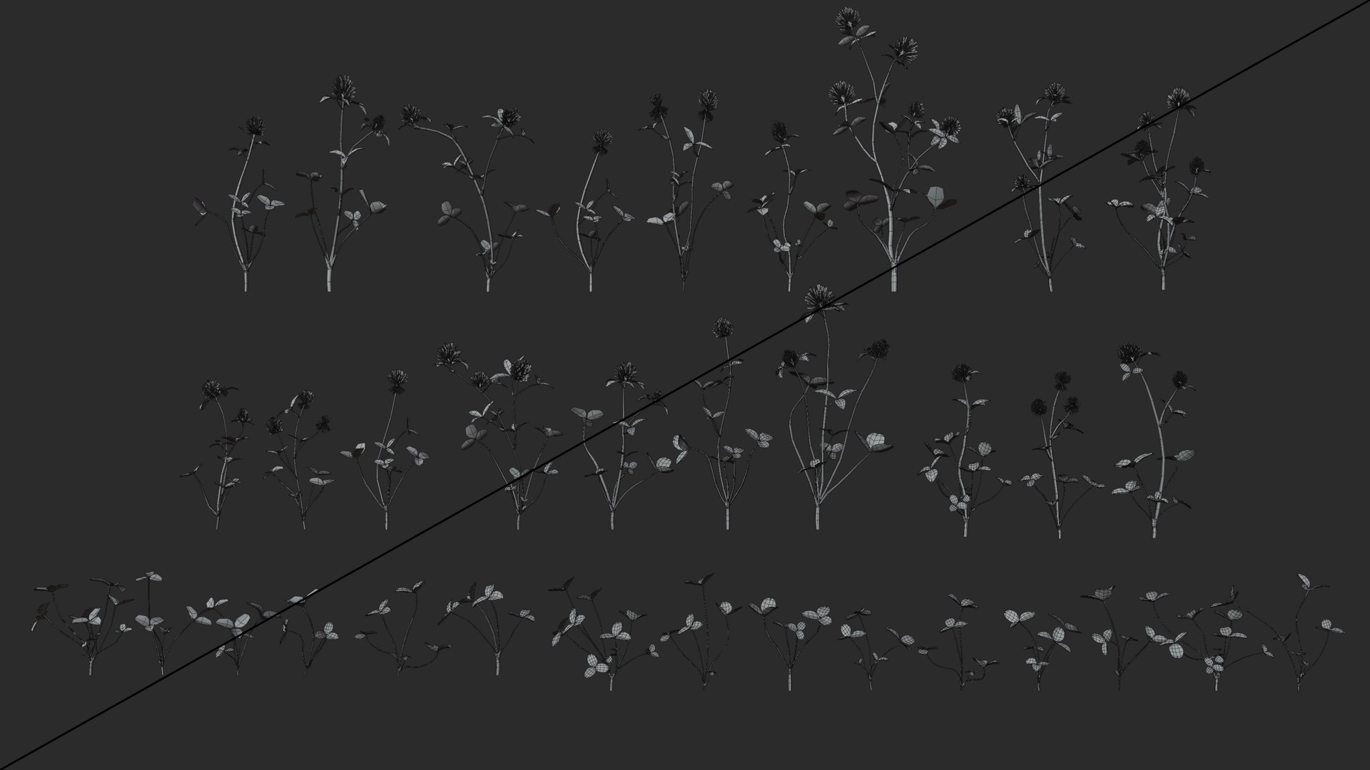 3D clovers flower vol01 model - TurboSquid 1616376