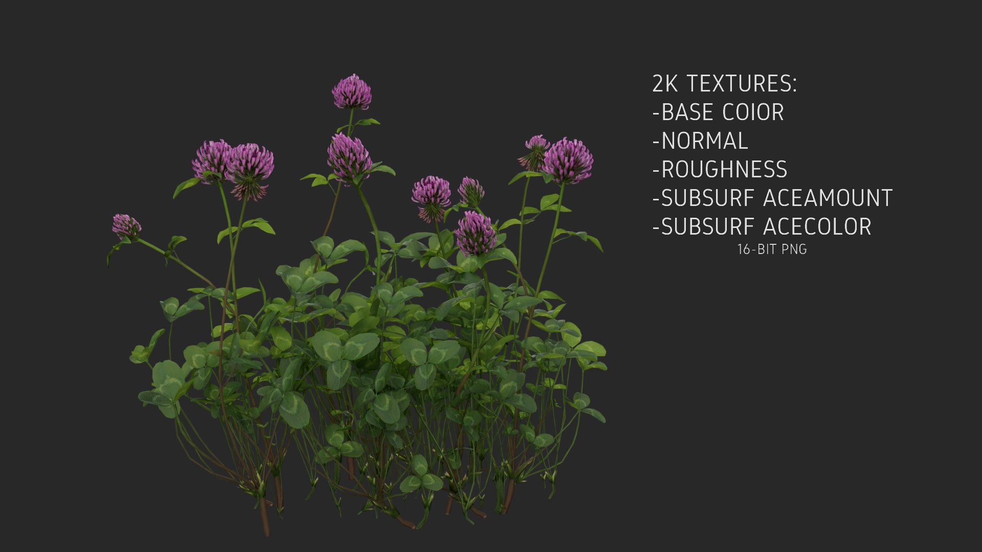 3D clovers flower vol01 model - TurboSquid 1616376