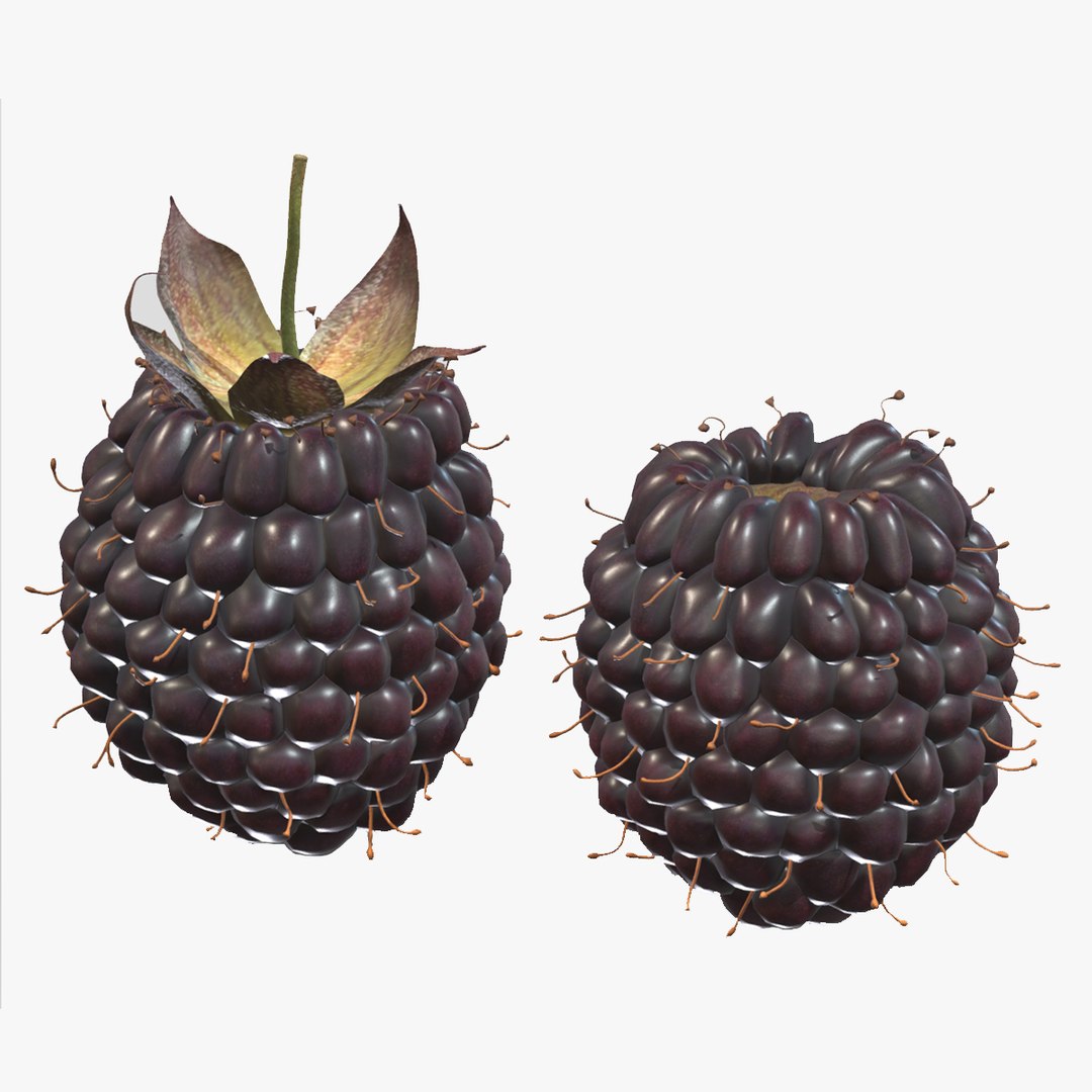 modelo 3d Fruta de Boysenberry de bajo poli - TurboSquid 2317526