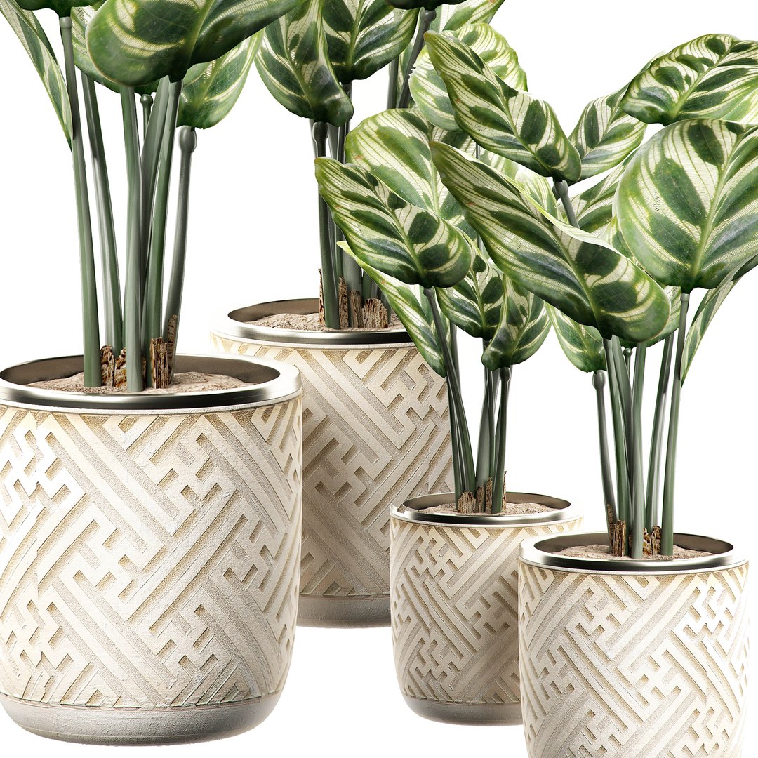 Potted plants set 9 3D model - TurboSquid 1560026