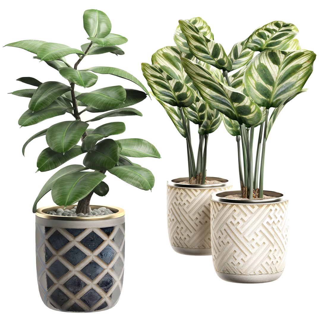 Potted plants set 9 3D model - TurboSquid 1560026