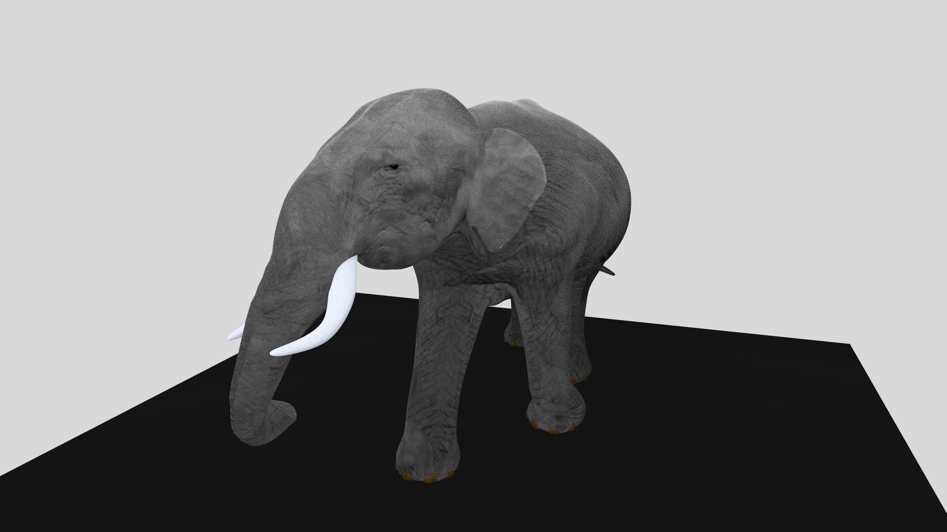 Realistic Elephant 3D Model 6 Animations Game Ready Unity Asset 3D ...