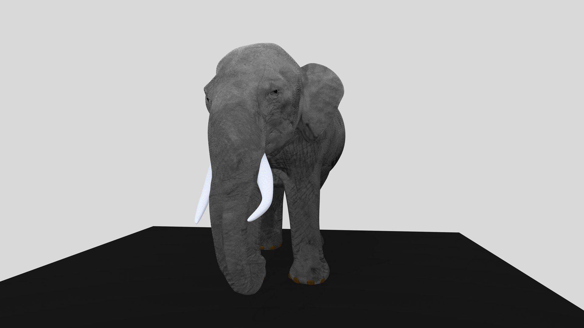 Realistic Elephant 3D Model 6 Animations Game Ready Unity Asset 3D ...