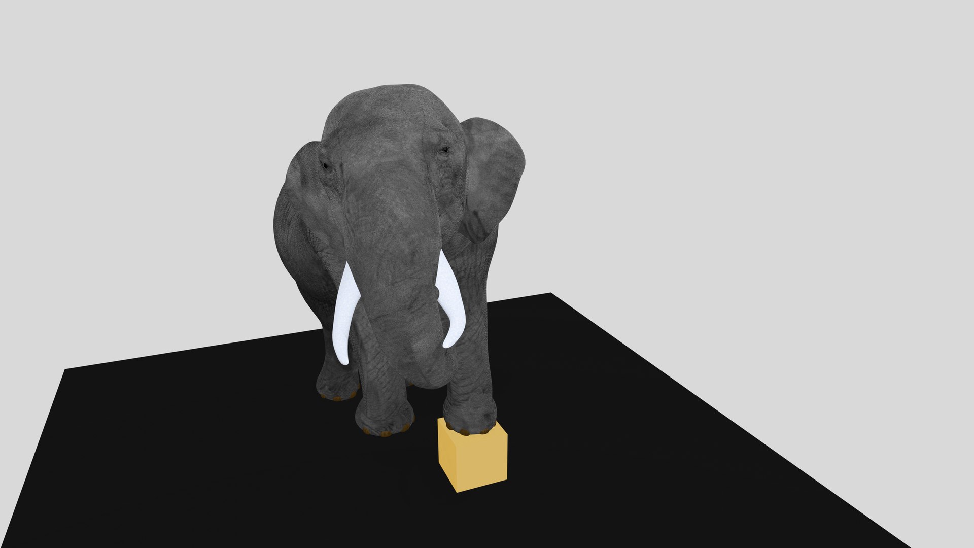Realistic Elephant 3D Model 6 Animations Game Ready Unity Asset 3D ...