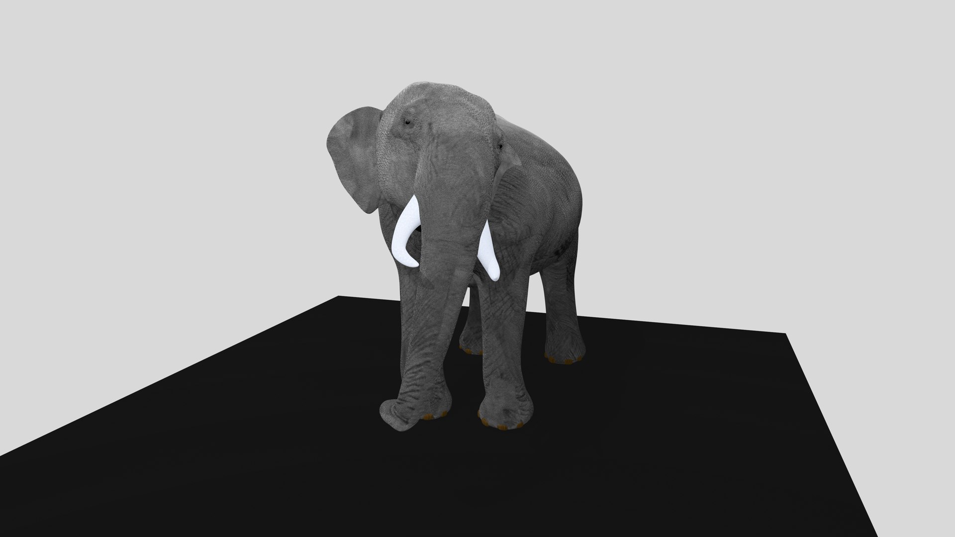 Realistic Elephant 3D Model 6 Animations Game Ready Unity Asset 3D ...