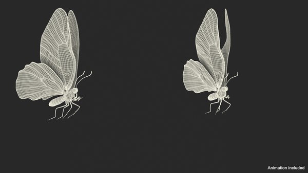Animierte Papilio-Schmetterlings-Flatting Wings Rigged für Modo 3D ...