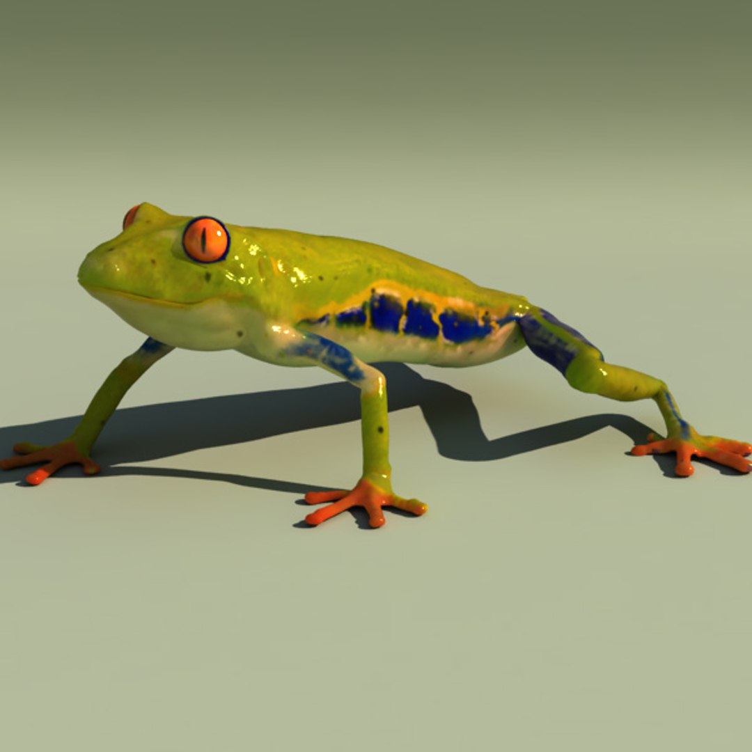 3d Frog Animation