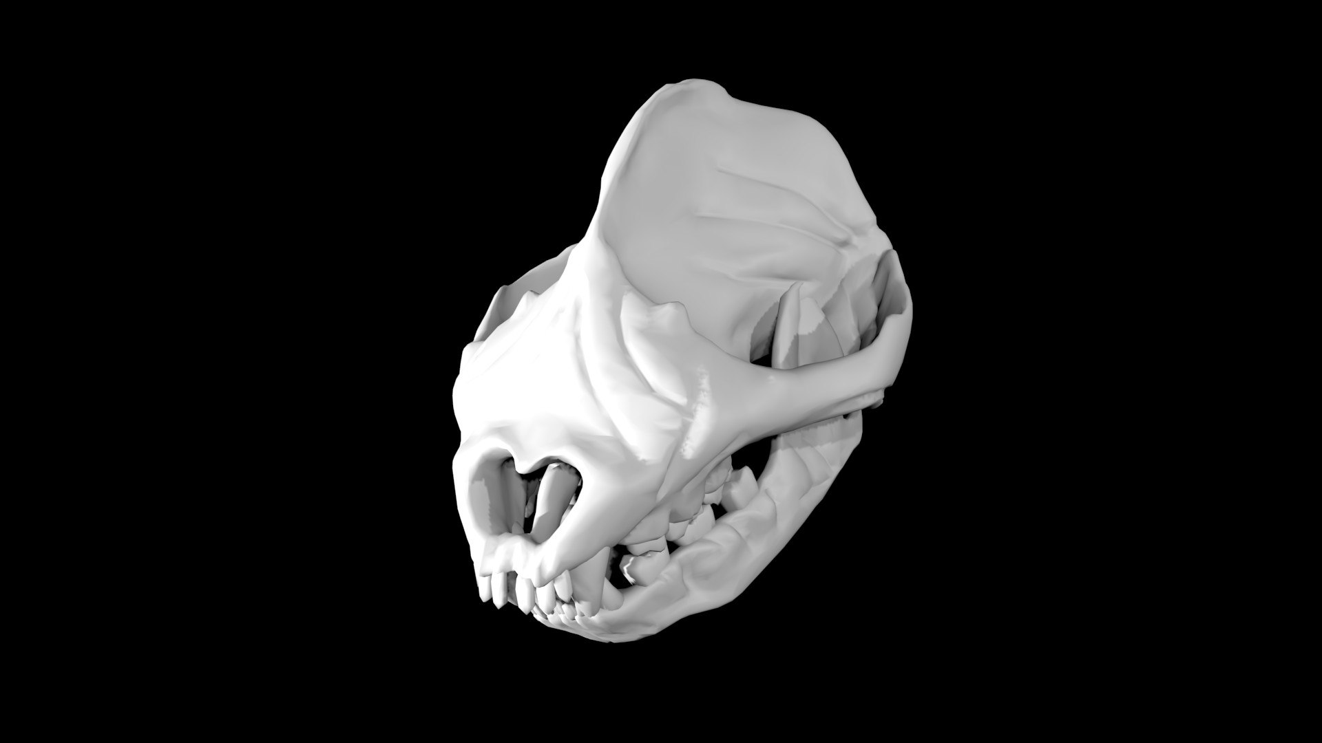 Rigged panda skull model - TurboSquid 1885781