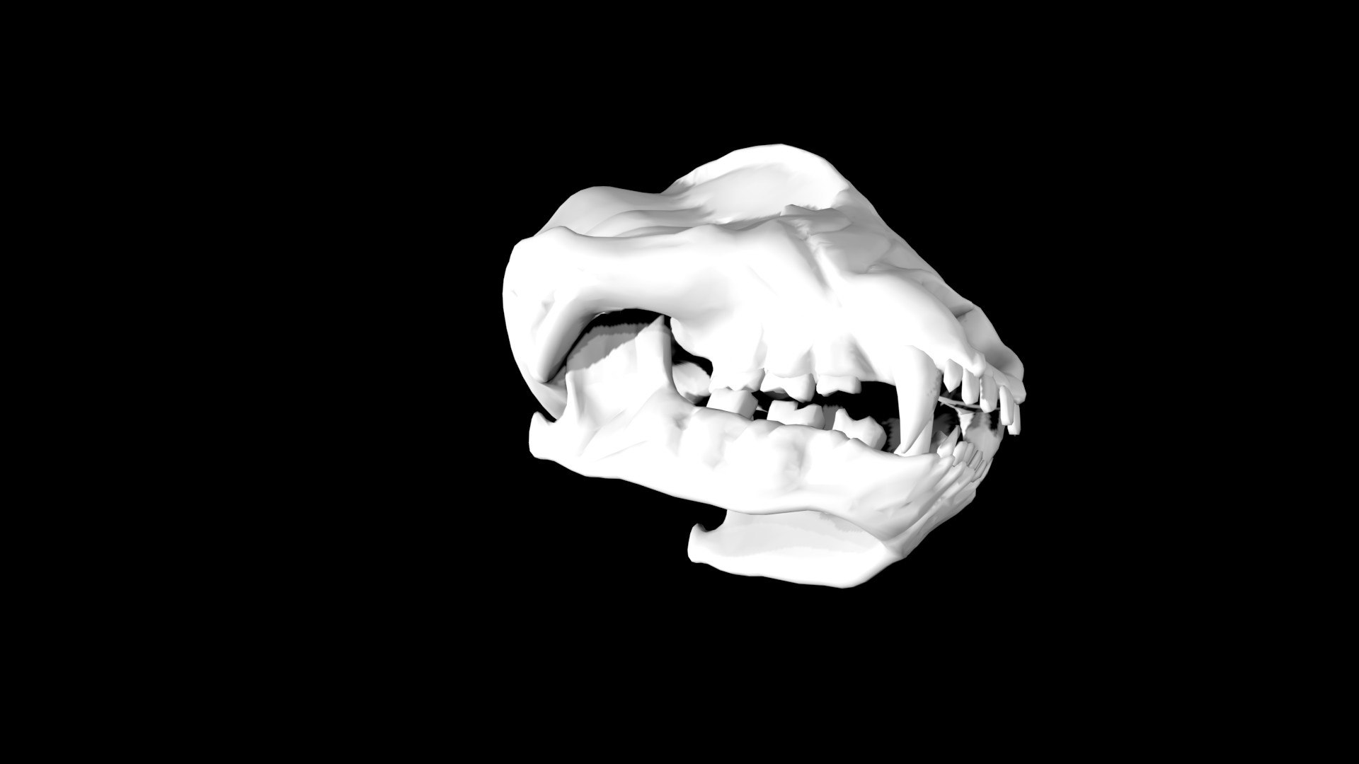 Rigged panda skull model - TurboSquid 1885781