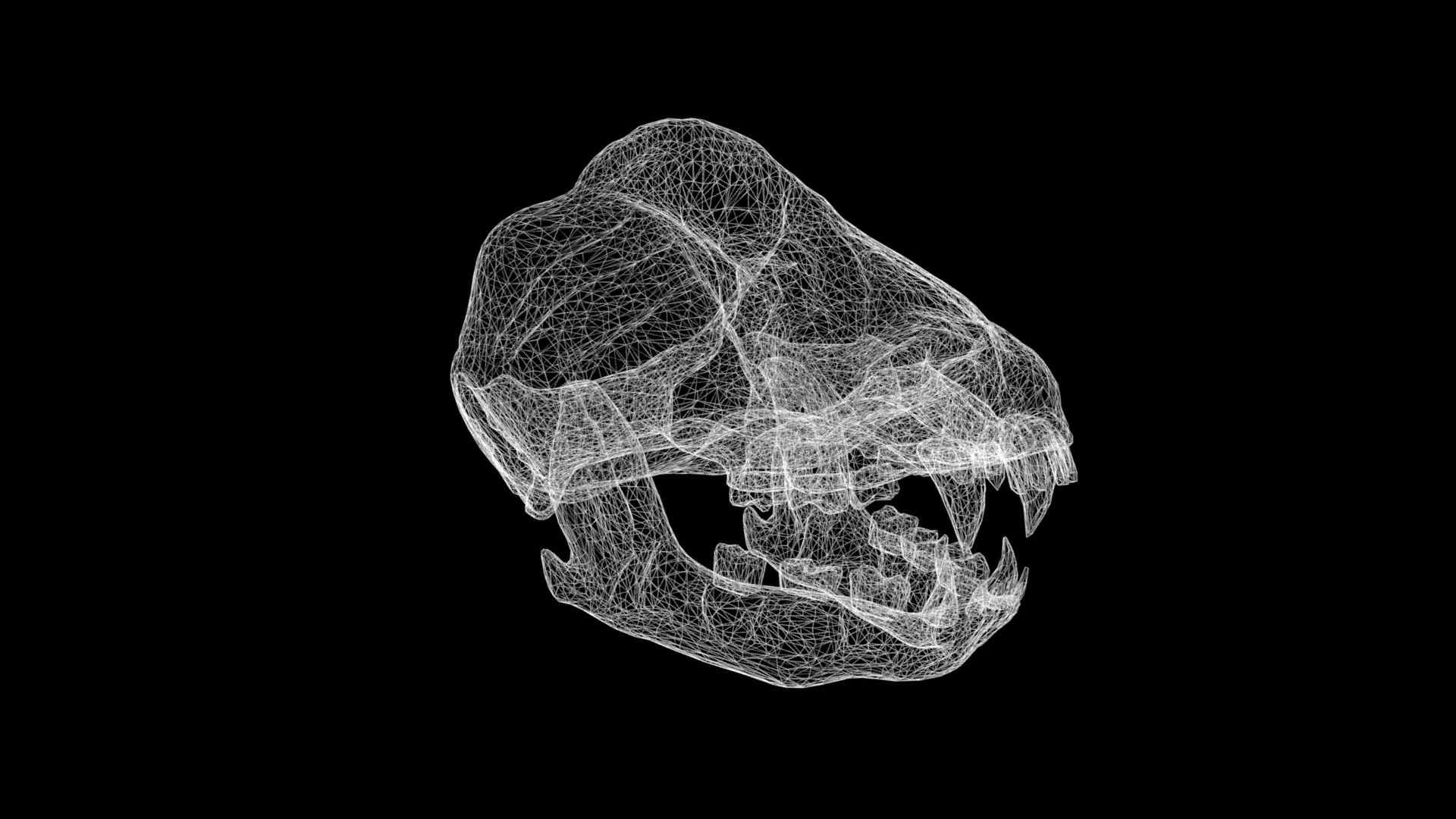 Rigged panda skull model - TurboSquid 1885781