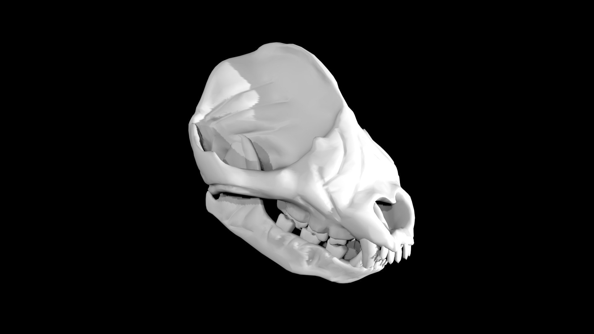 Rigged panda skull model - TurboSquid 1885781