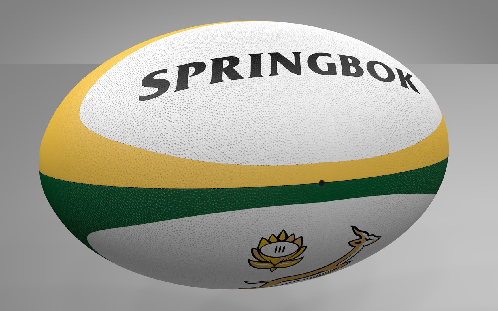 3D Rugby Ball Springbok L1492 Model - TurboSquid 1786682