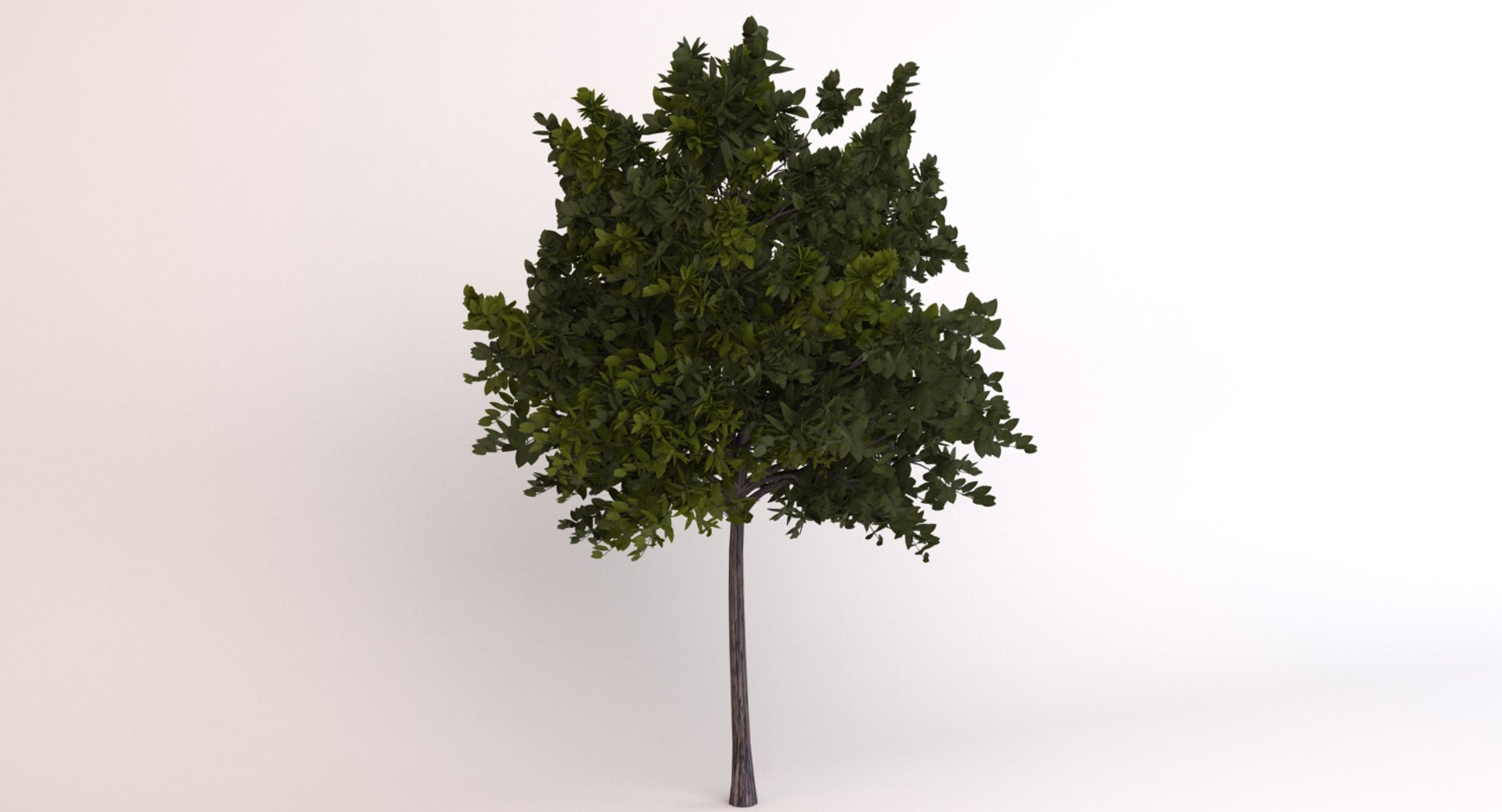 Generic green tree 3D model - TurboSquid 1428503