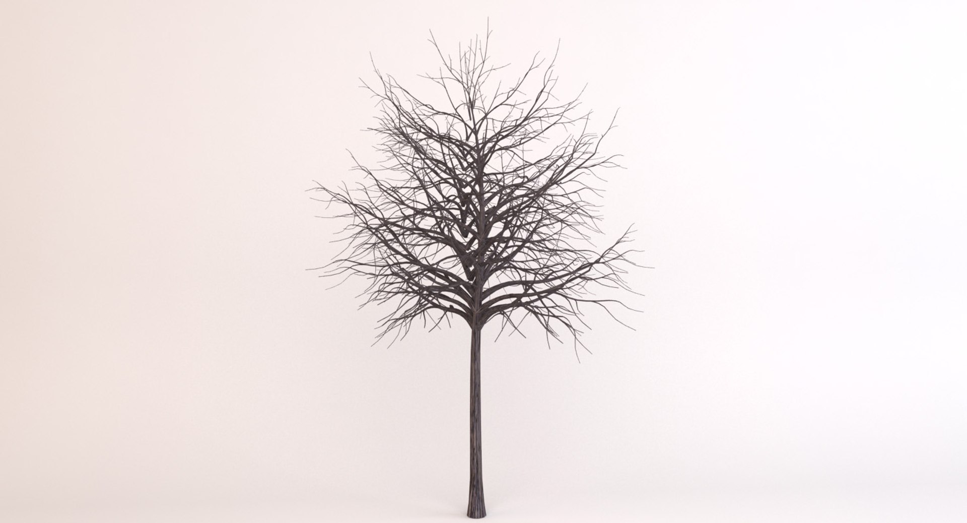 Generic green tree 3D model - TurboSquid 1428503