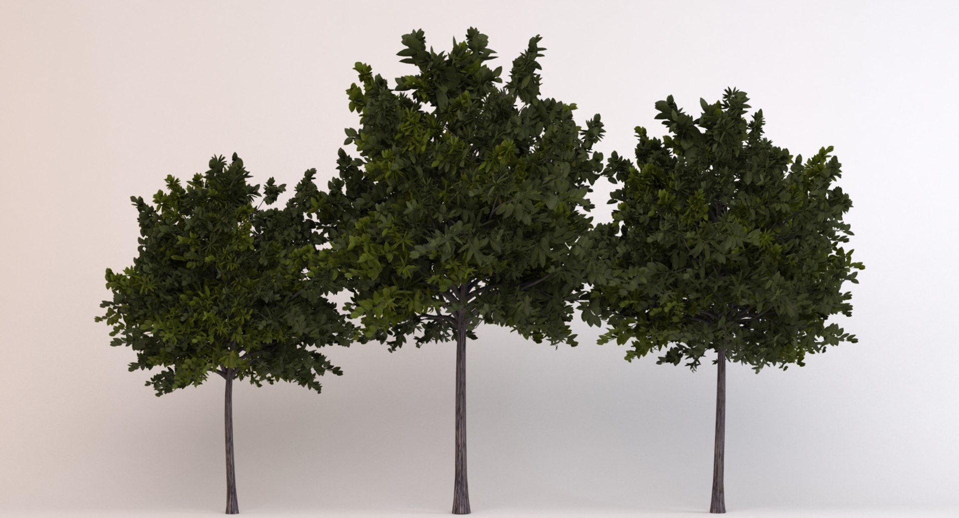 Generic green tree 3D model - TurboSquid 1428503