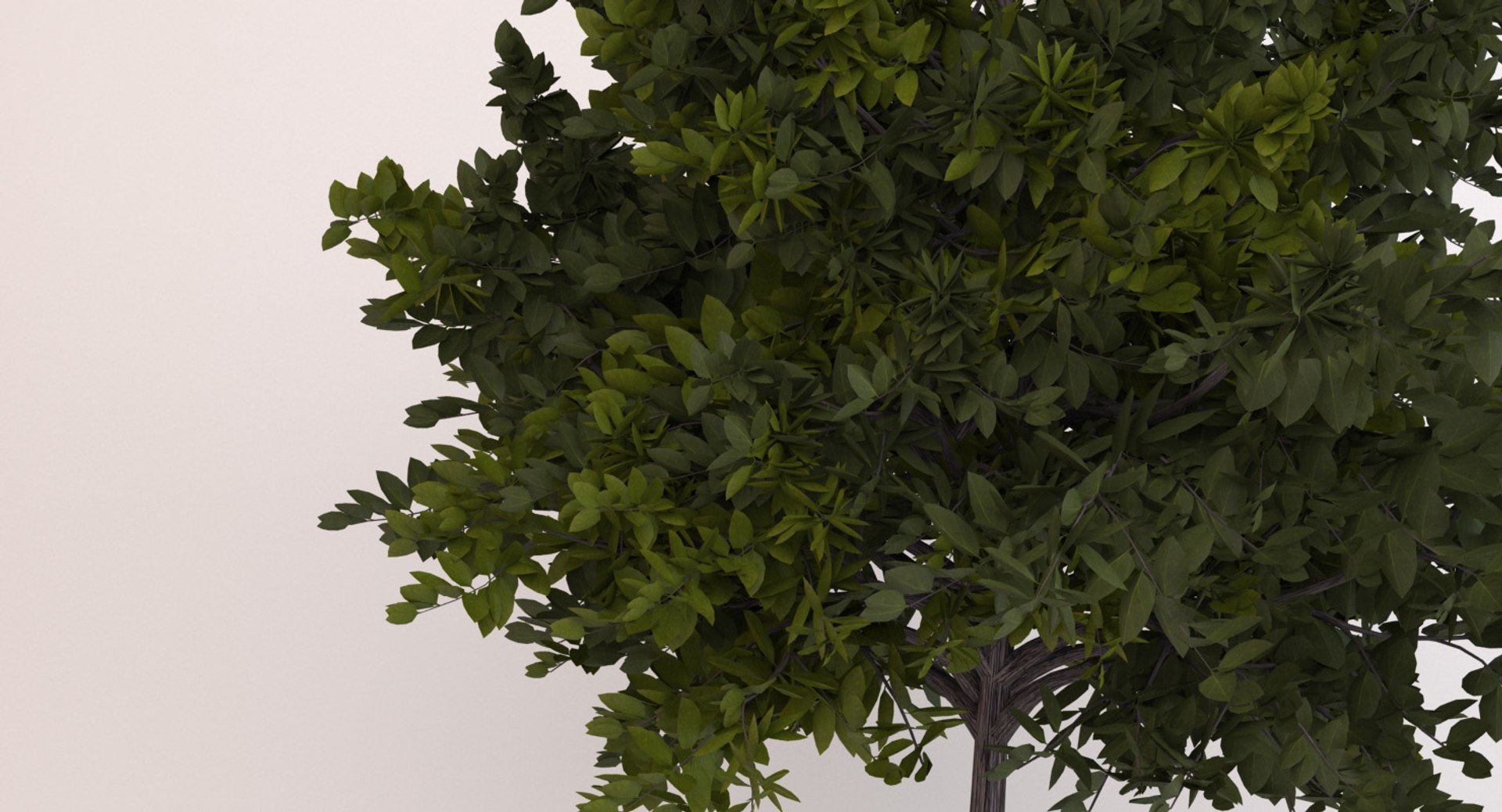 Generic green tree 3D model - TurboSquid 1428503