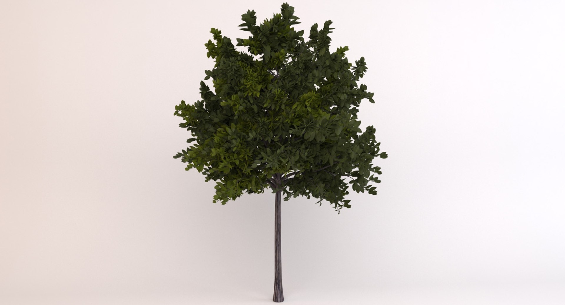 Generic green tree 3D model - TurboSquid 1428503