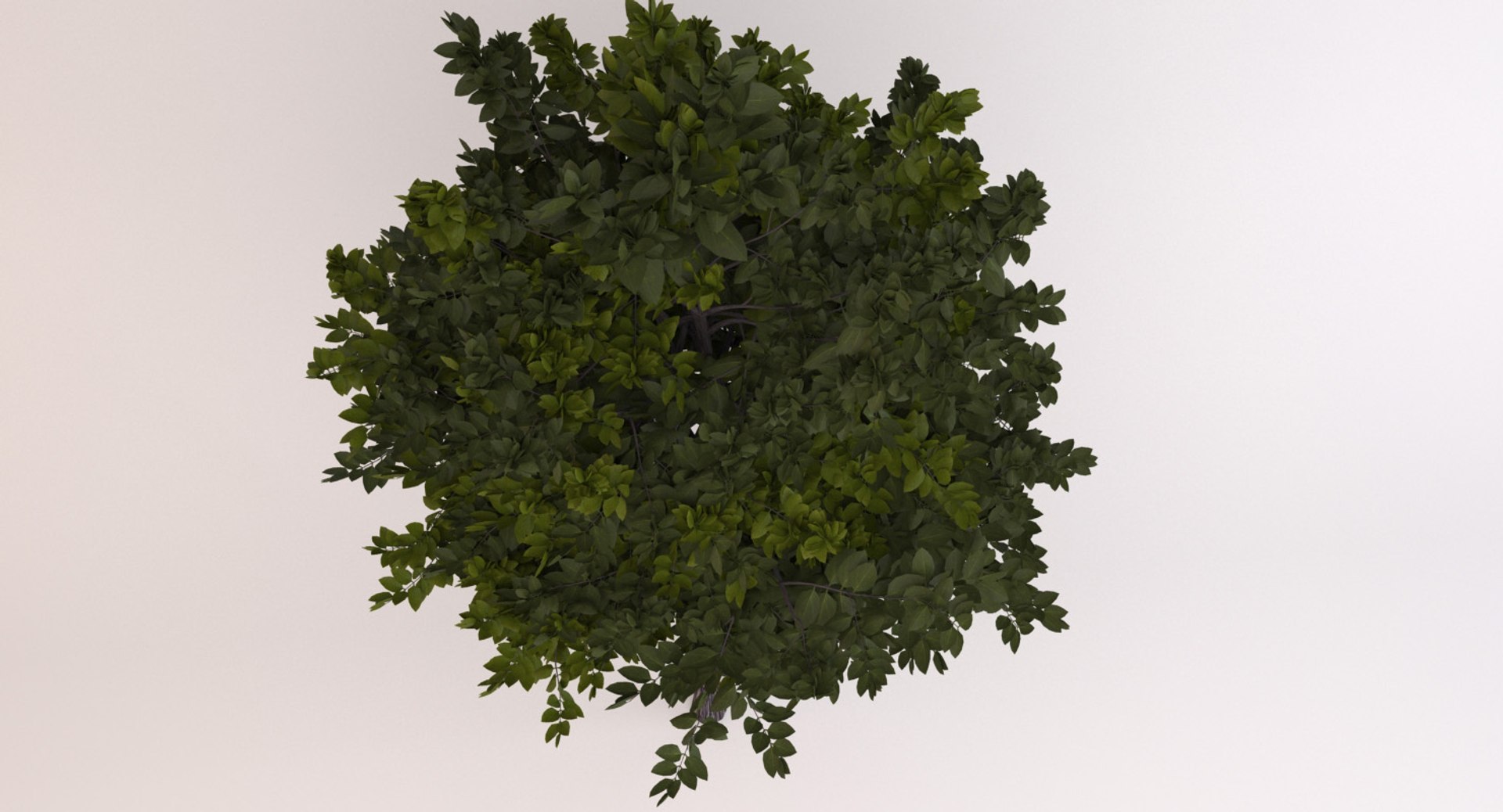 Generic green tree 3D model - TurboSquid 1428503