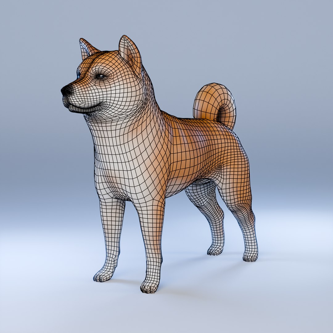 Dog Shiba Inu Animal 3D Model 3D Model - TurboSquid 2274820