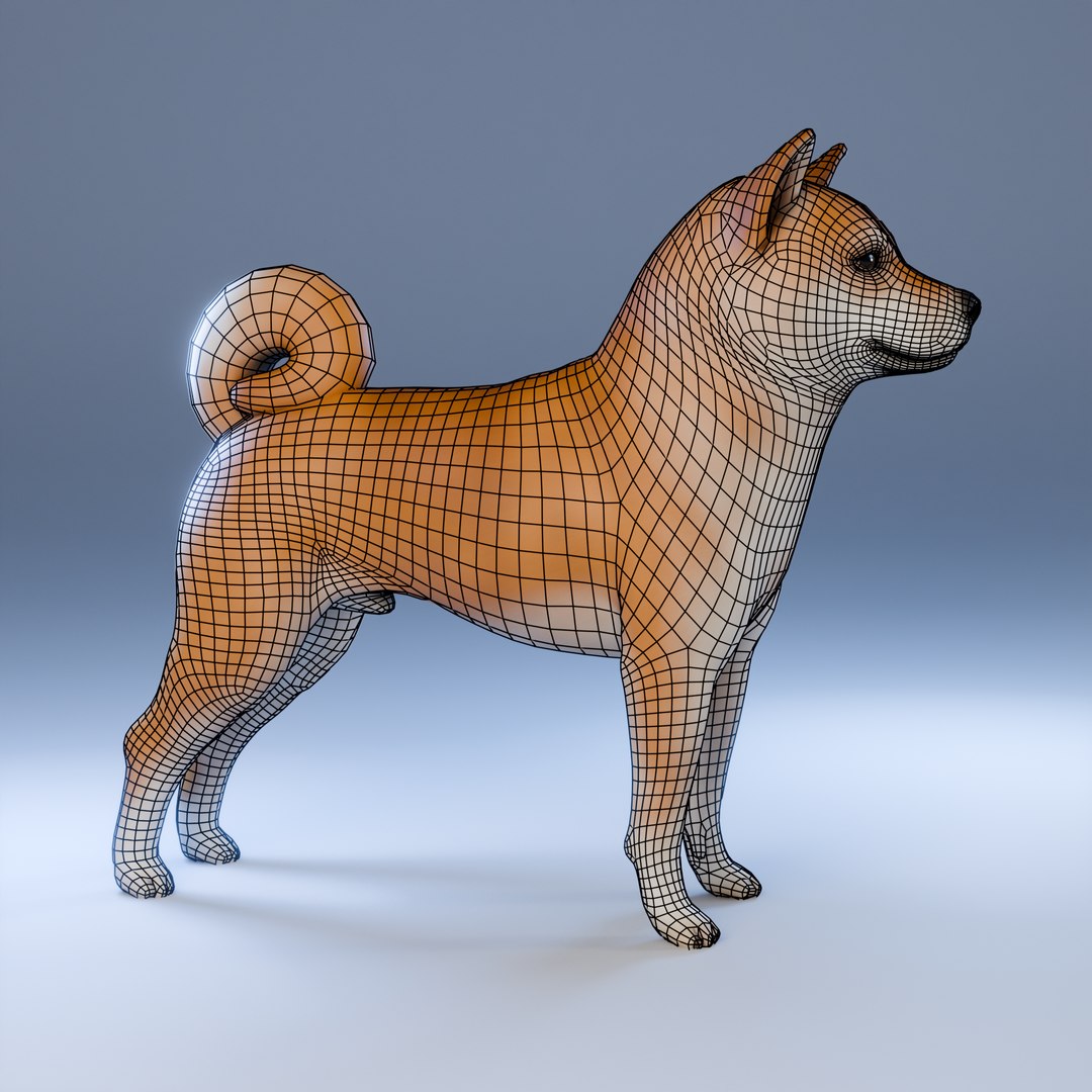 Dog Shiba Inu Animal 3D Model 3D Model - TurboSquid 2274820