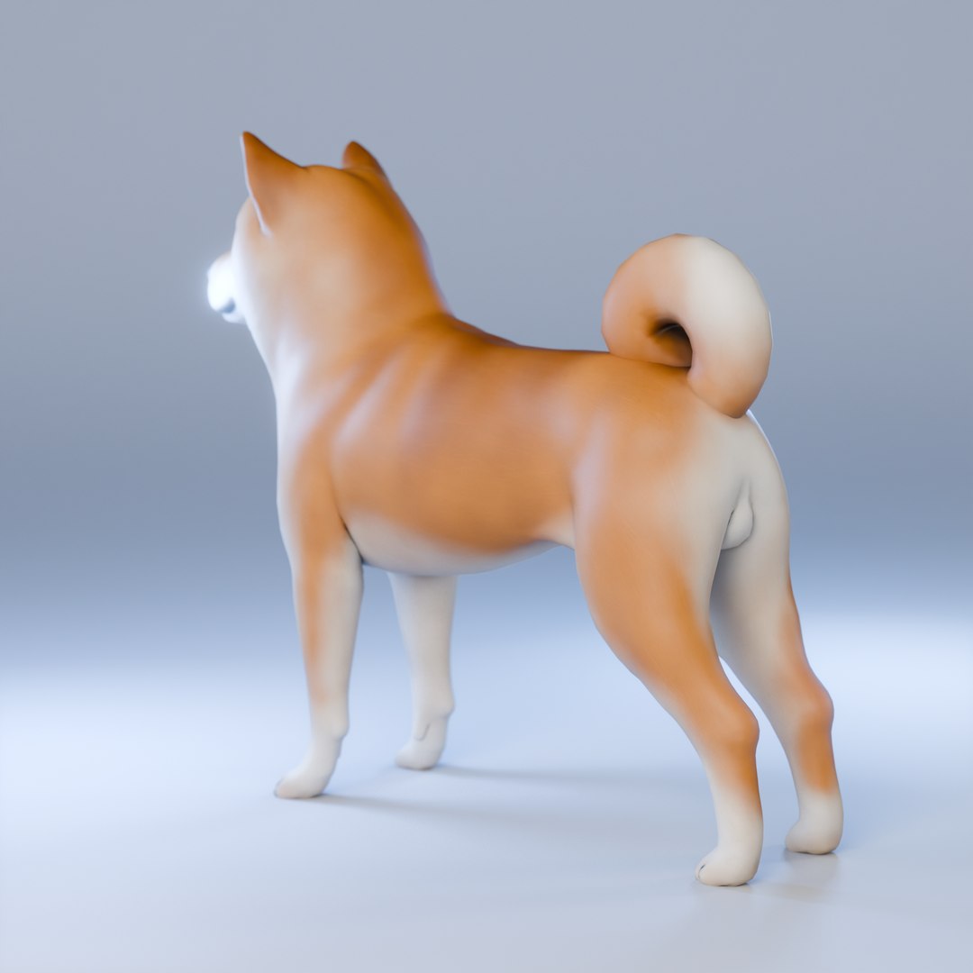 Dog Shiba Inu Animal 3D Model 3D Model - TurboSquid 2274820