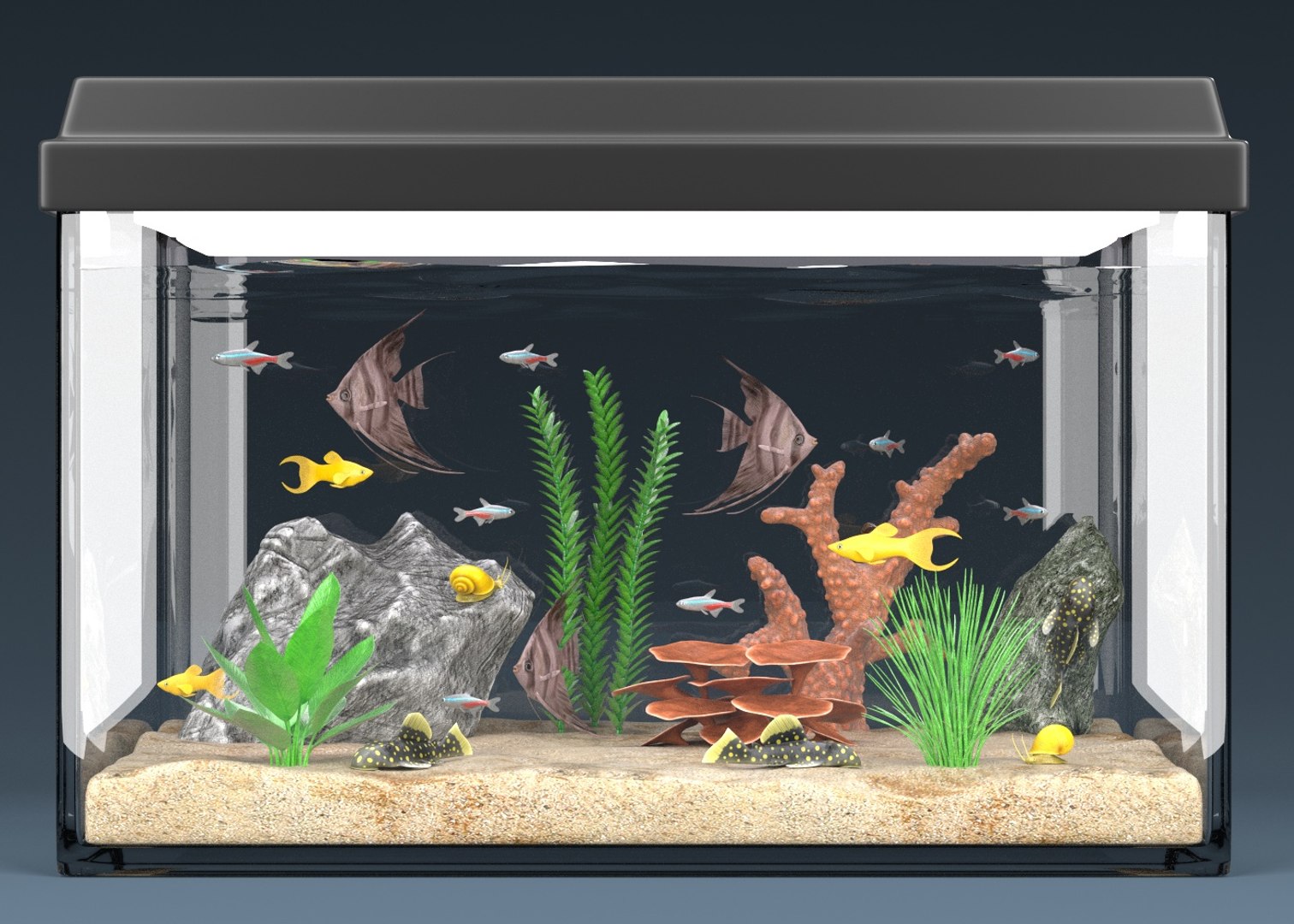 3d Model Aquarium Equipped Decorations