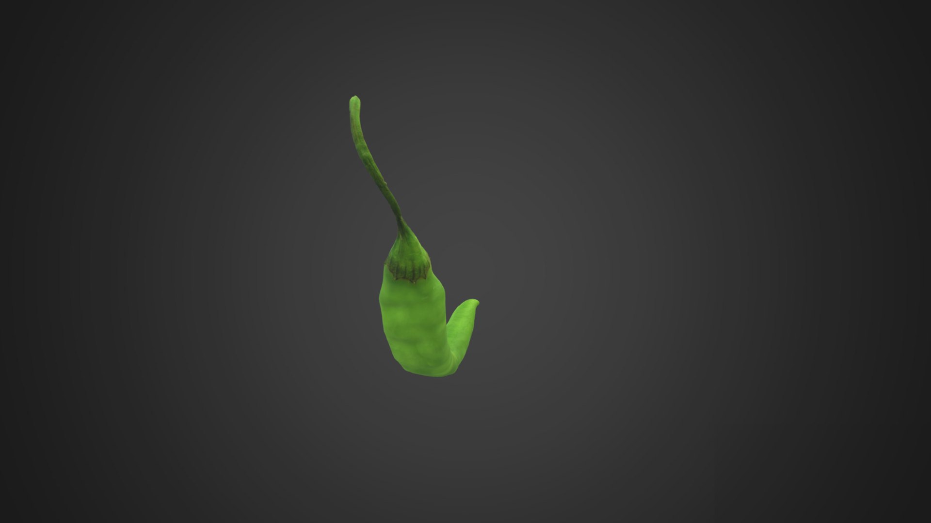 3D Green Pepper - TurboSquid 2025303