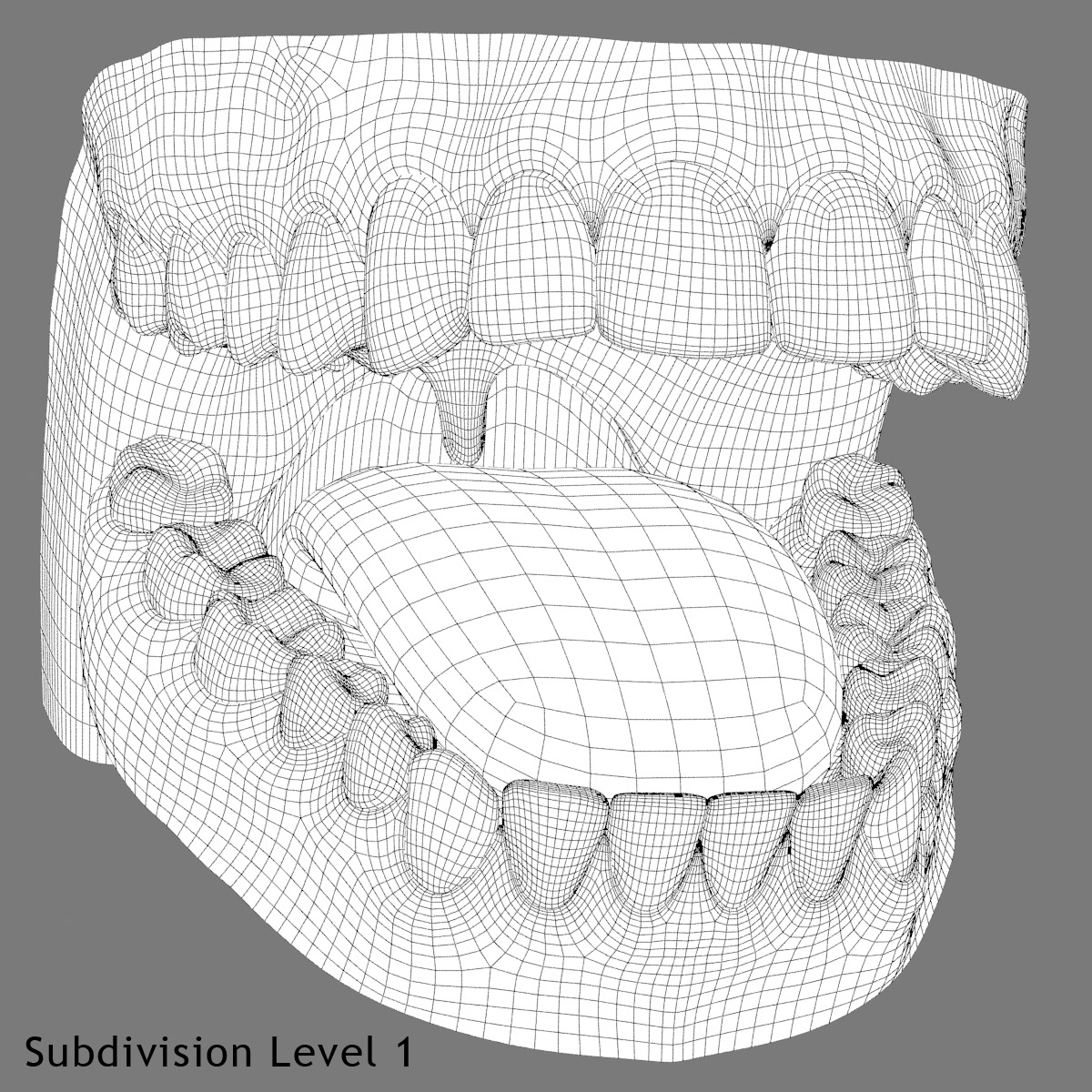 3d human teeth model