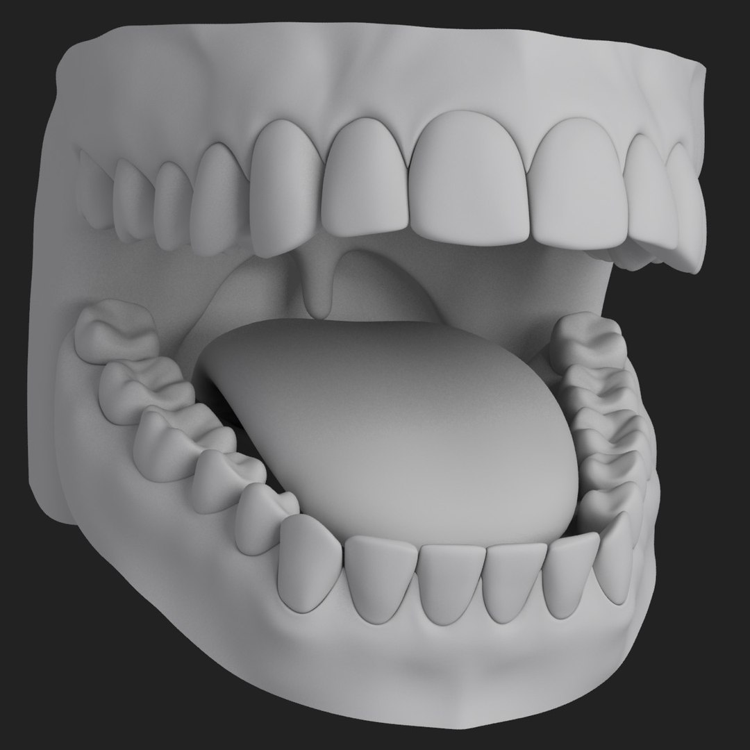 3d Human Teeth Model