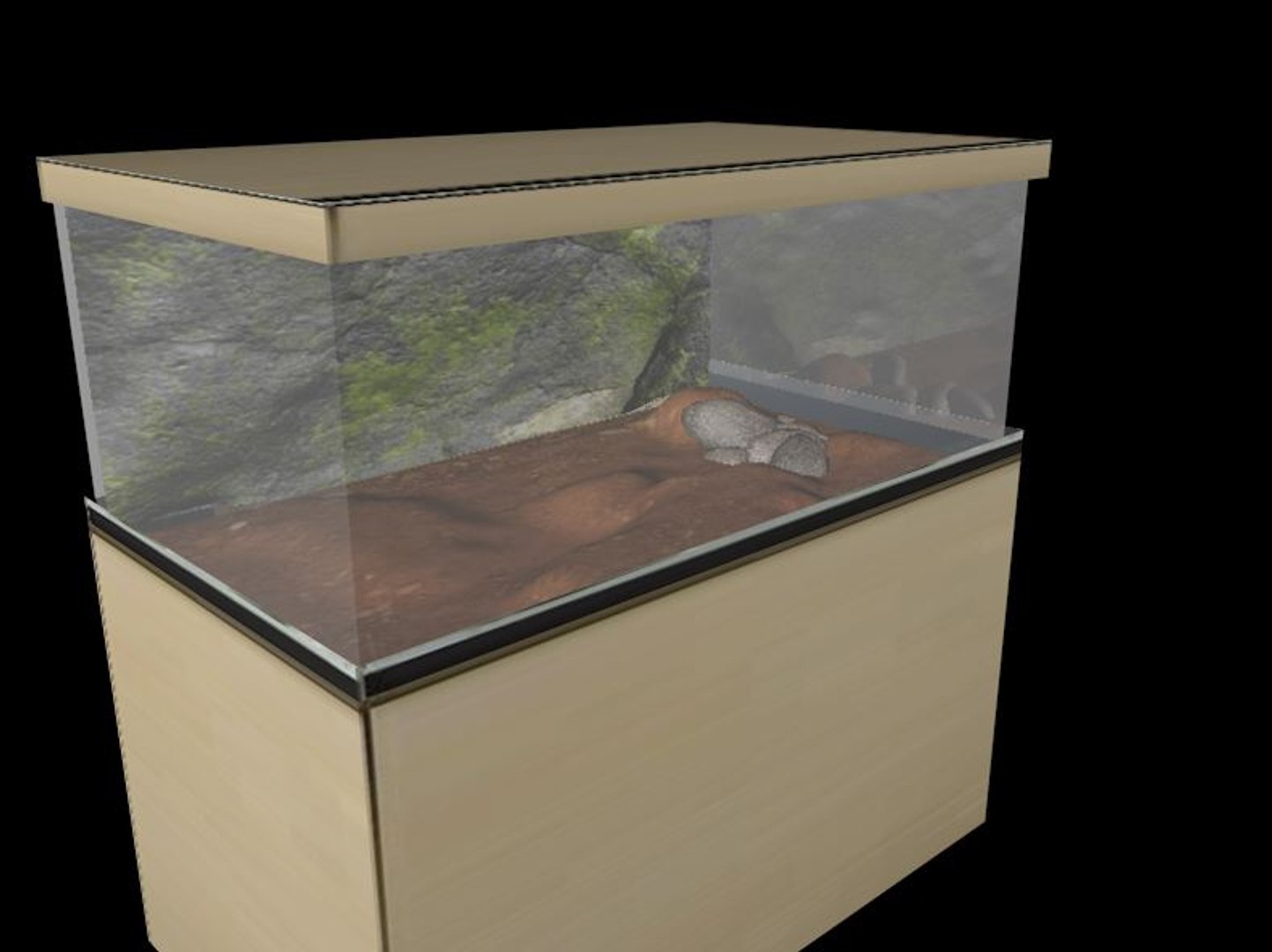 terrarium reptiles 3d model