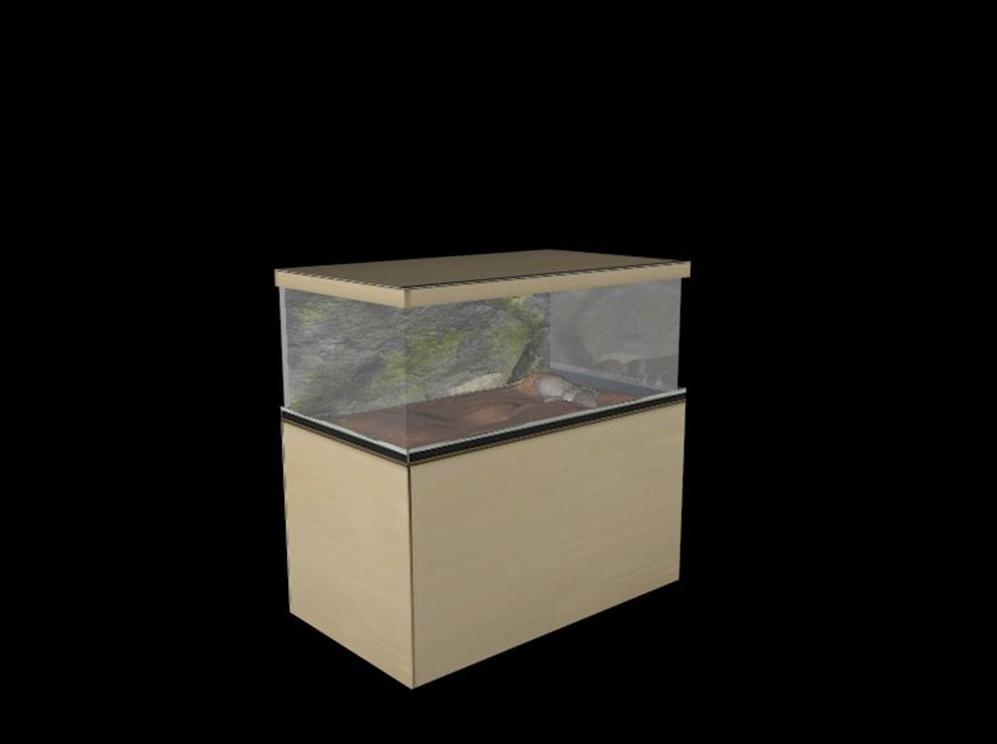 terrarium reptiles 3d model