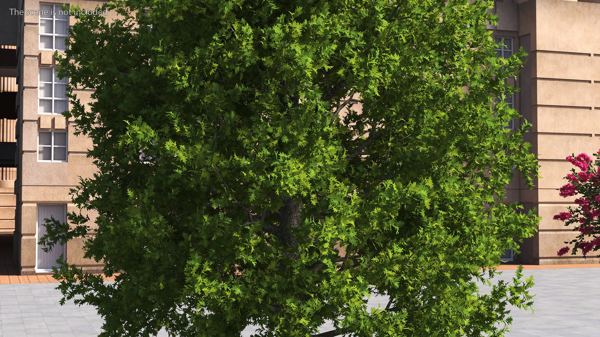 Realistic Oak Tree 3D Model - TurboSquid 2229367