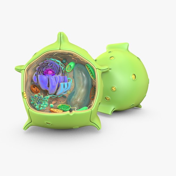 Cell 3D Models for Download | TurboSquid