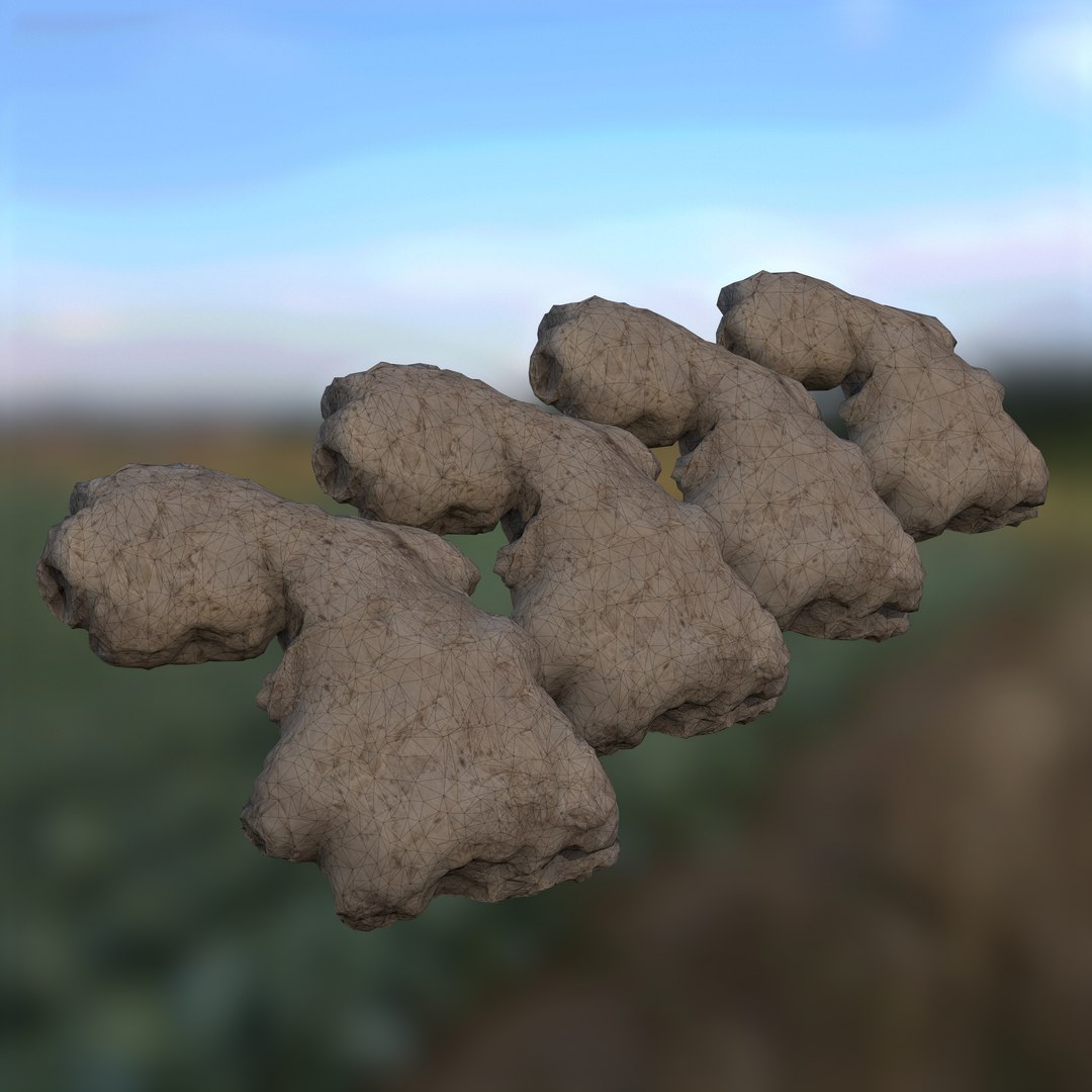 Realistic Ginger 3D - TurboSquid 1546167