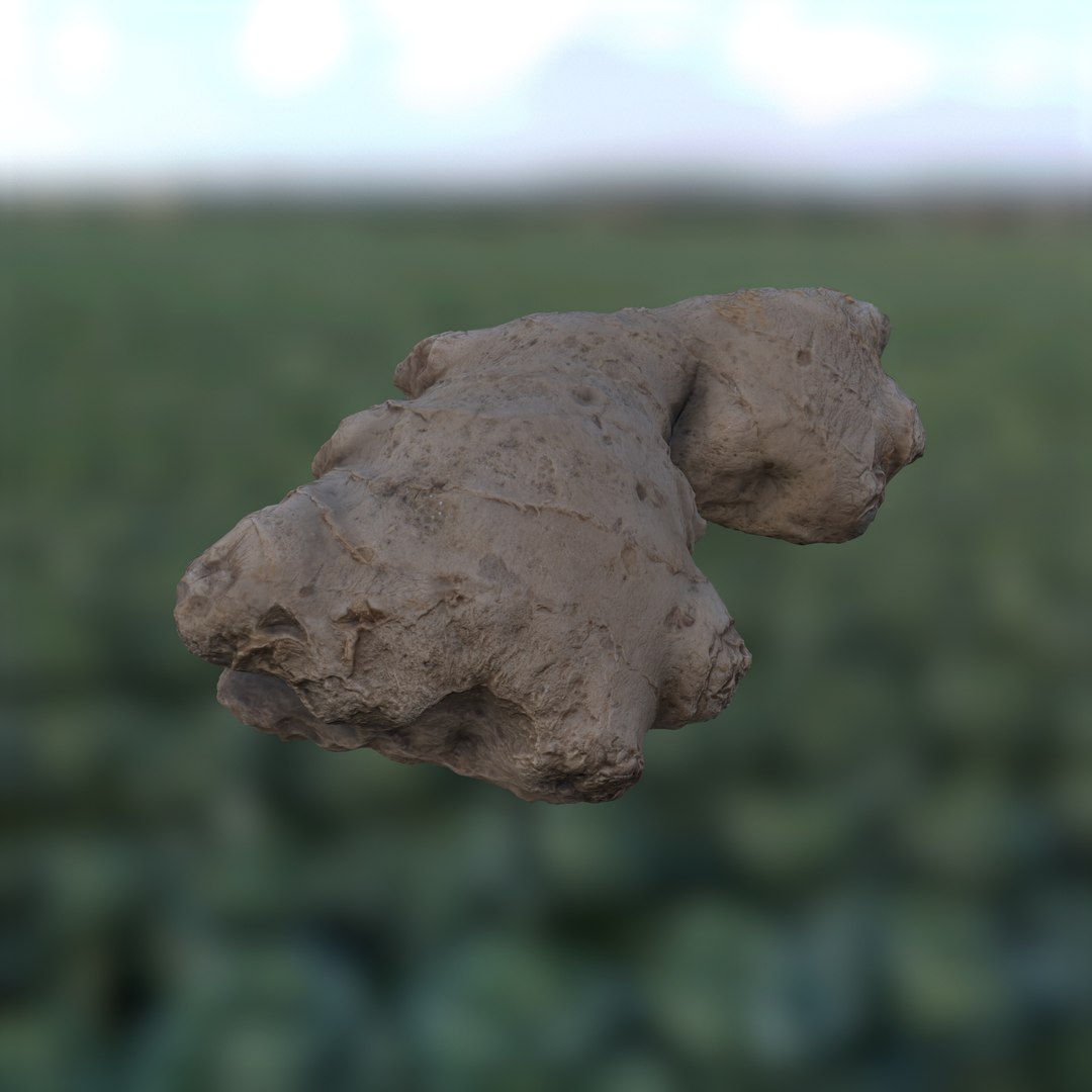 Realistic Ginger 3D - TurboSquid 1546167