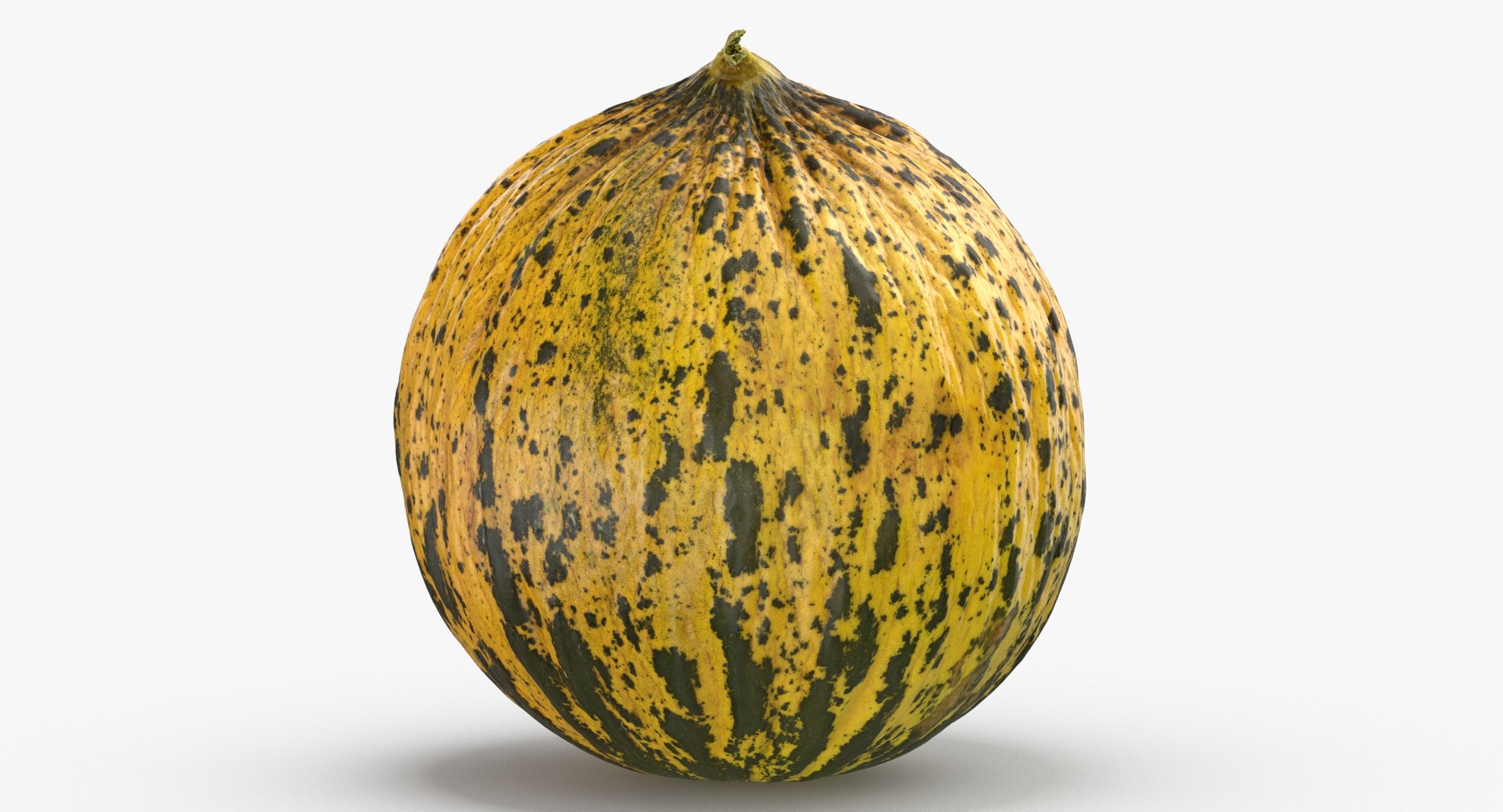 3D Turkish Melon 01 - TurboSquid 1528666