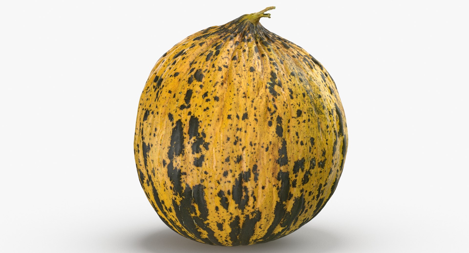 3D Turkish Melon 01 - TurboSquid 1528666