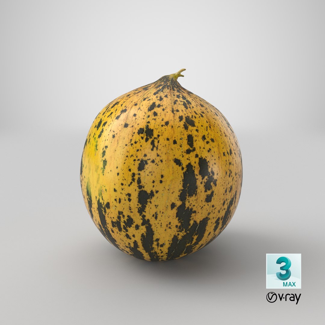 3D turkish melon 01 - TurboSquid 1528666
