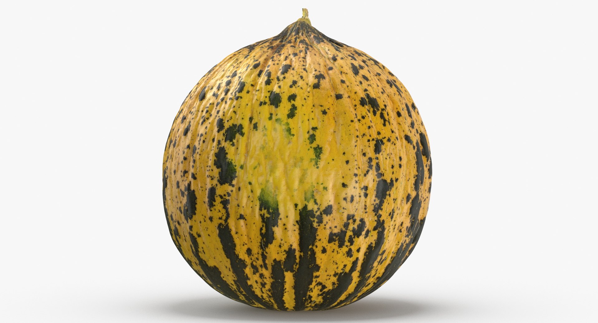 3D turkish melon 01 - TurboSquid 1528666