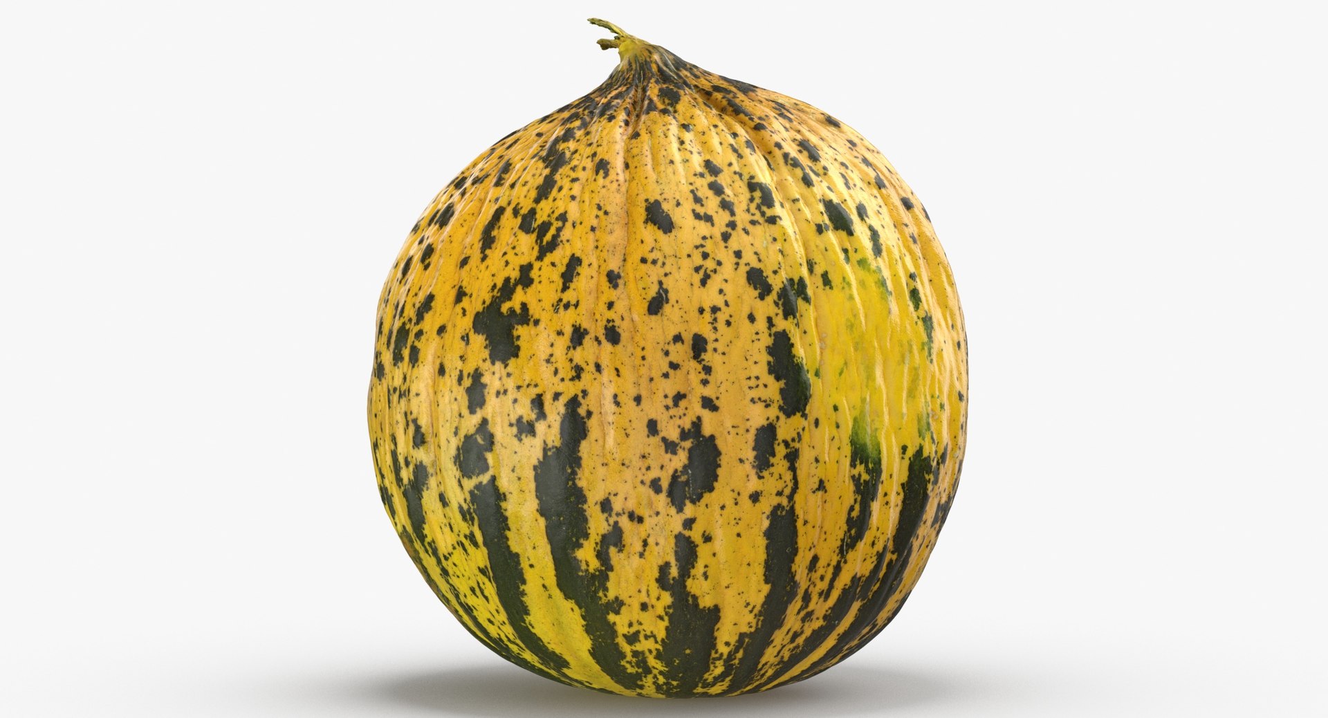 3D turkish melon 01 - TurboSquid 1528666